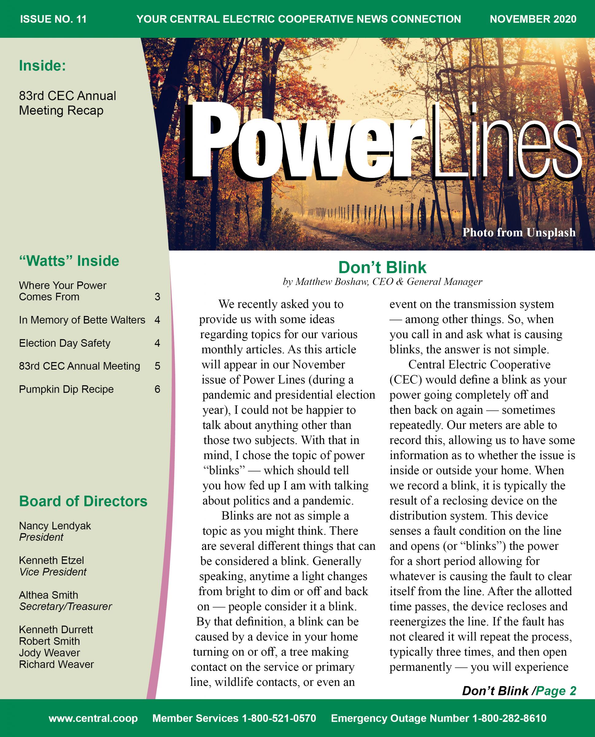 Archive PowerLines | Central Electric Cooperative